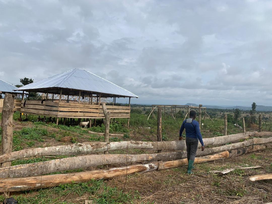 AGONABA Farms – Farming Without Boundaries
